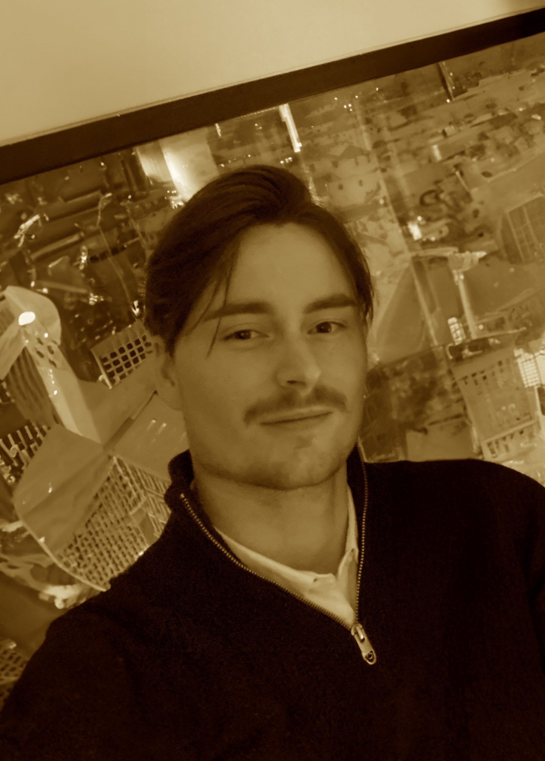 Data and Insights Network – Over D&IN